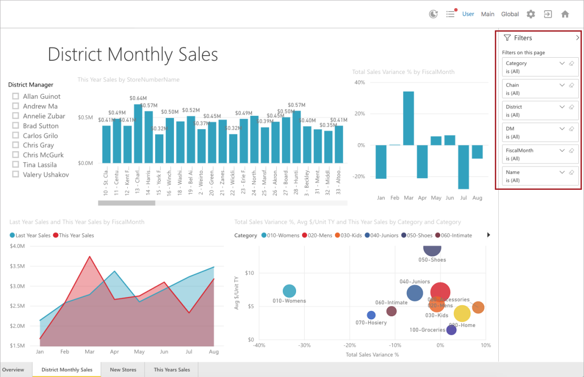 Example Power BI Report Filters